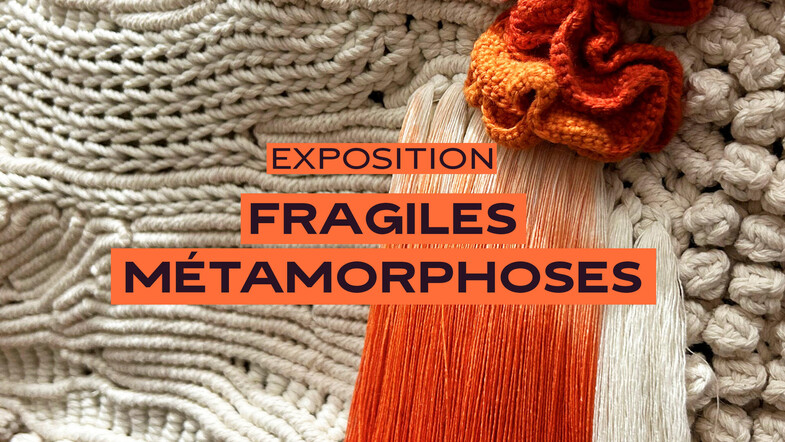 Exposition « Fragiles métamorphoses » - OT Clichy